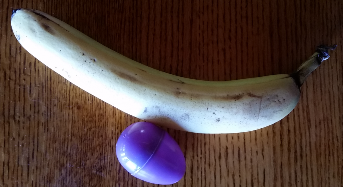 Optimization and the Banana of Death - MetaSD